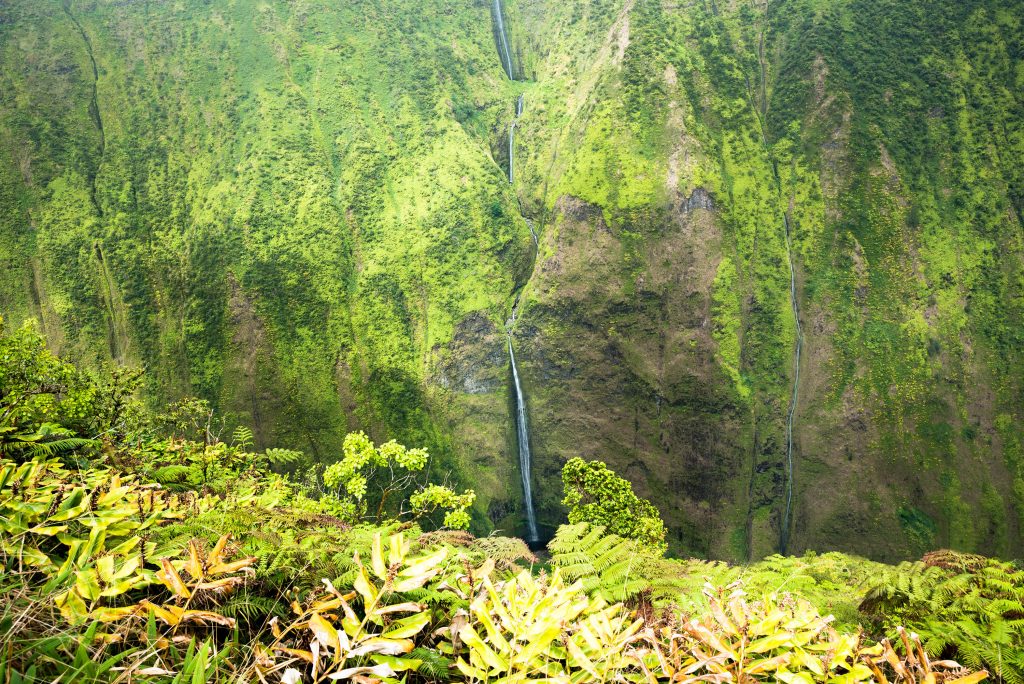 Water Slide in Hawaii White Road Hike - 1 Life on Earth